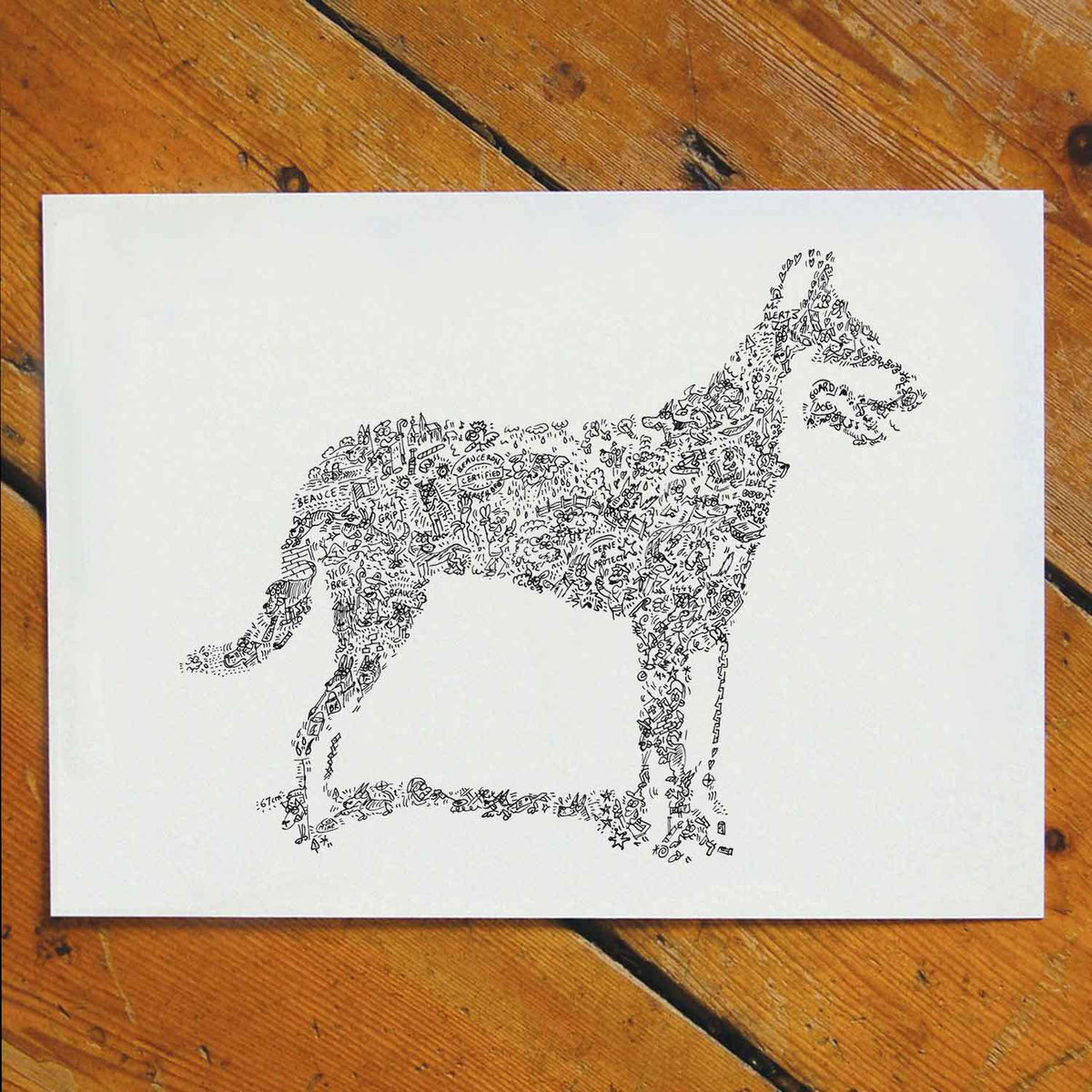 Beauceron dog drawing - breed history illustrated – drawinside